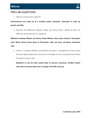 Diffusion Experiment Lab Report - Diffusion Experiment: Aerosol Spray ...
