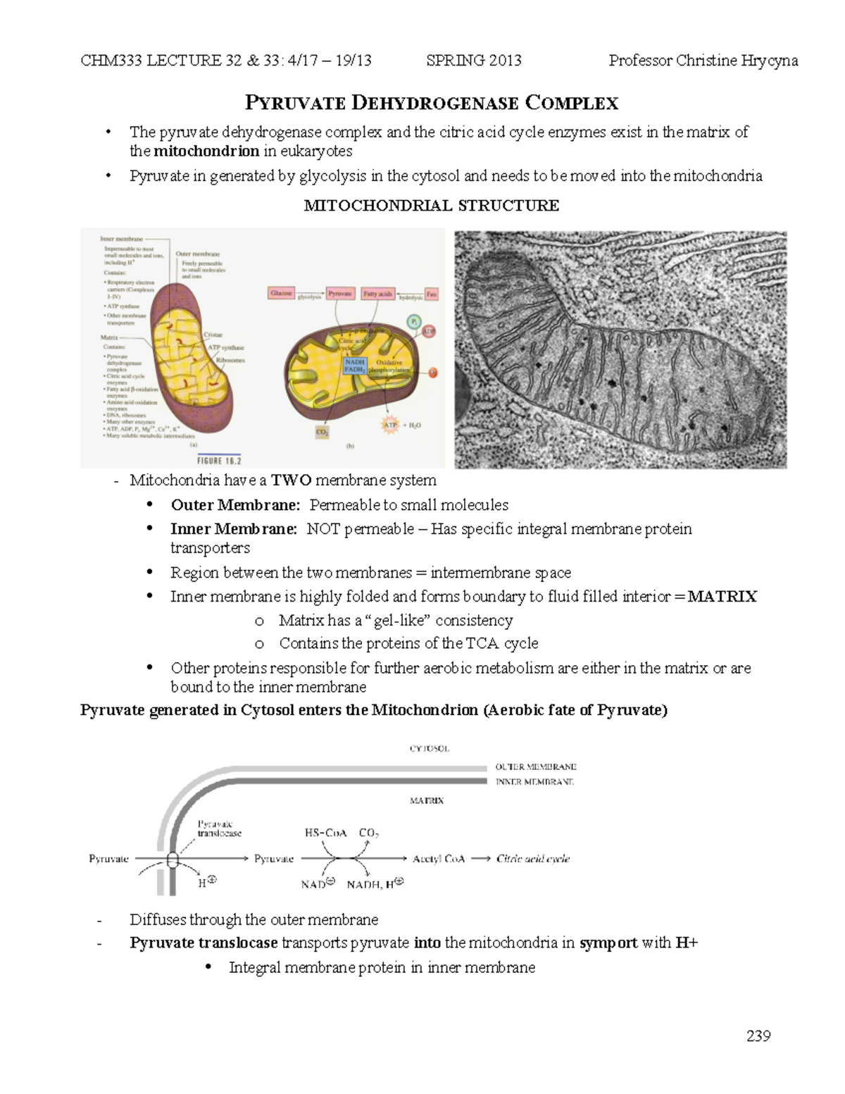 Pyruvate Dehydrogenase Complex - ) The use of many steps in the ...