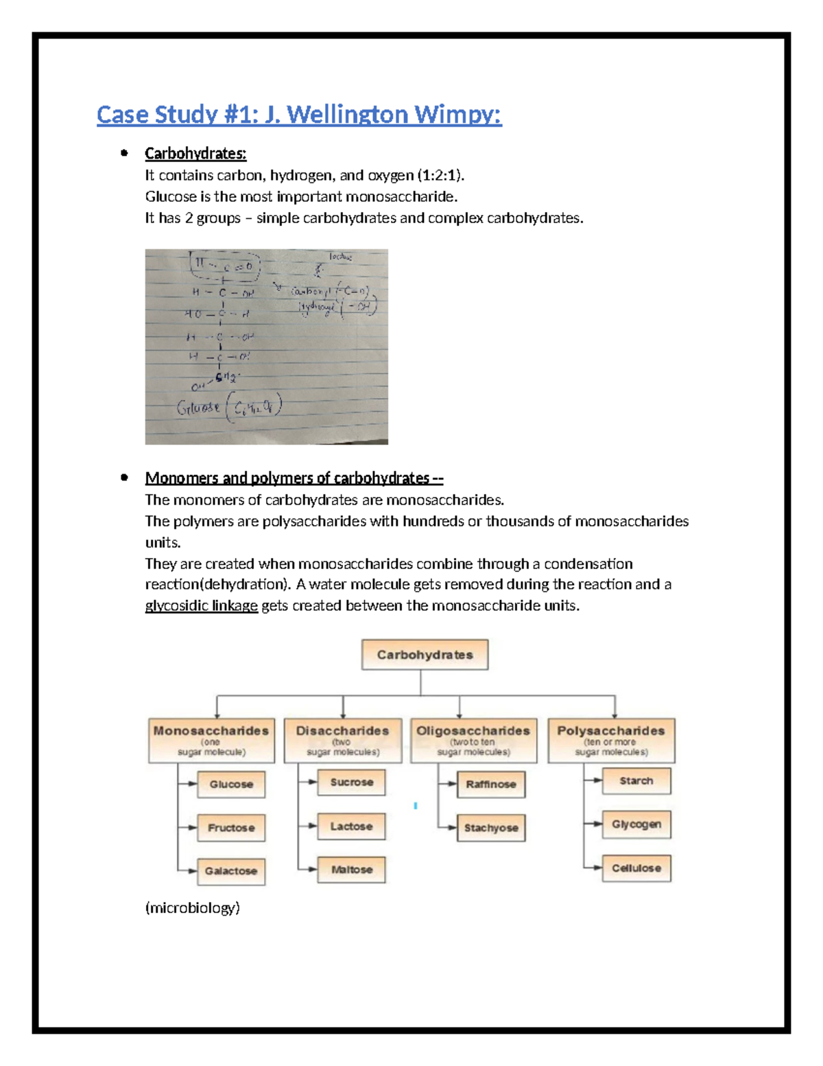 Case Study bio - Case Study #1: J. Wellington Wimpy: Carbohydrates: It ...