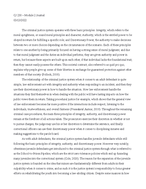 3-1 Practice Activity- Analyze Discretionary Decisions - CJ 230 Module ...