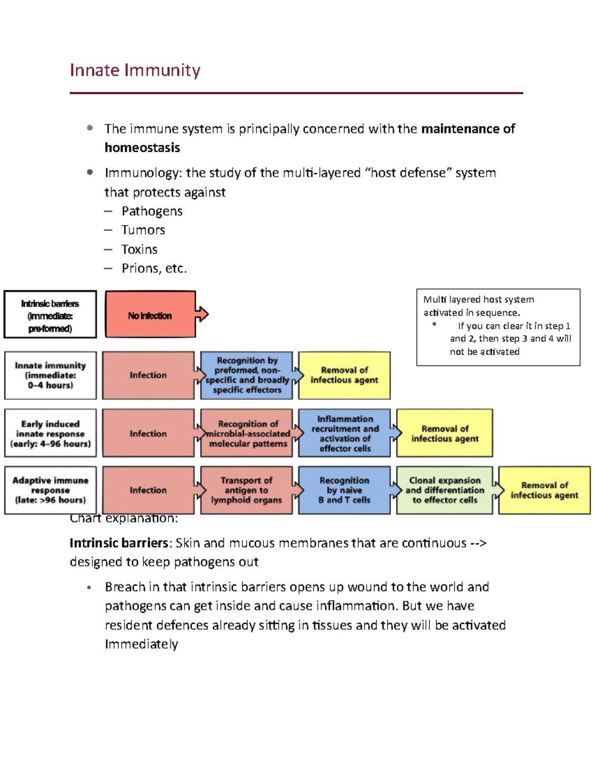 8. Innate Immunity - Lecture 8 notes - Innate Immunity The immune ...