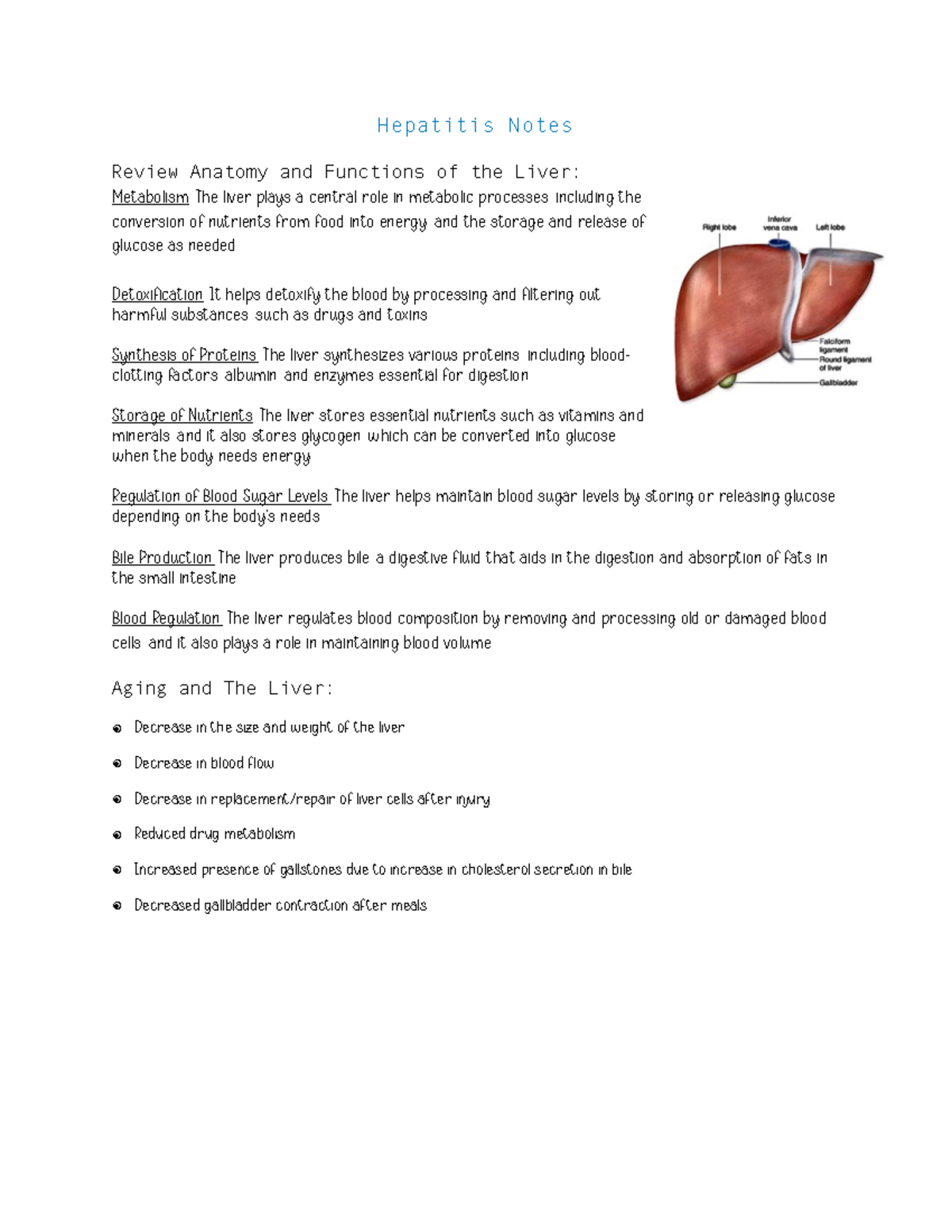 Hepatitis Notes - Med:Surg 2024 - Hepatitis Notes Review Anatomy and ...