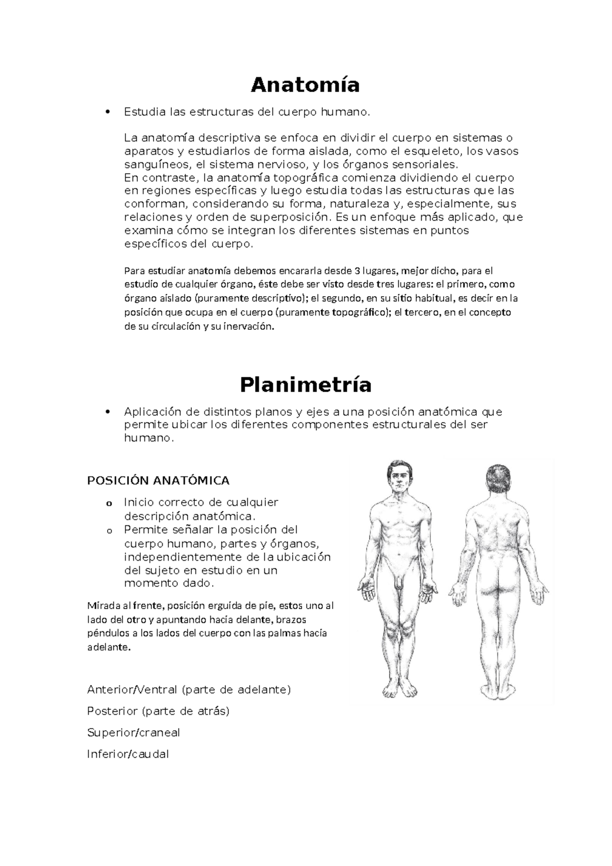 Anato generalidades - Anatomía Estudia las estructuras del cuerpo ...