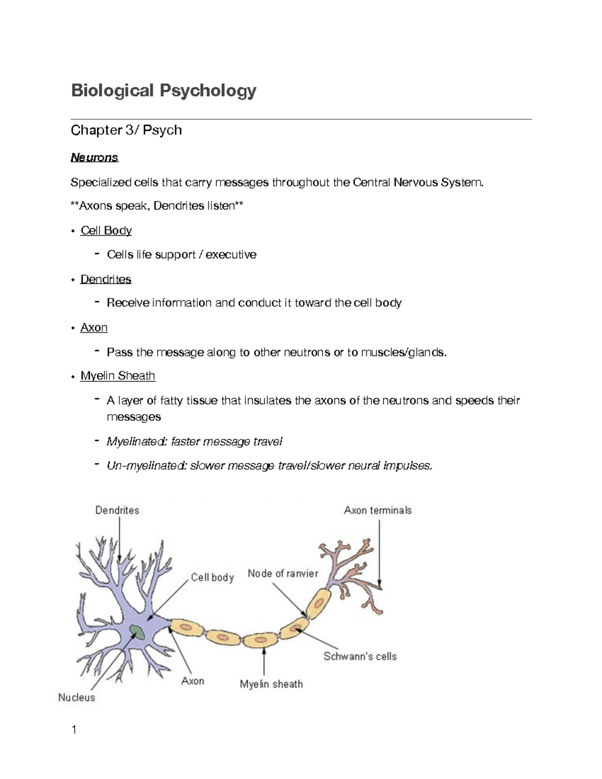 Chapter 3 Psychology - Biological Psychology Chapter 3/ Psych Neurons ...