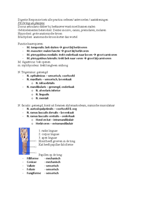 DI1 PR10 dissectie buikholte - PR 10 : Anatomie Thorax, Craniale deel ...