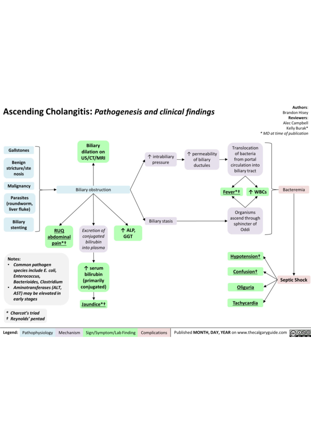 Ascending Cholangitis Pathogenesis Clinical Findings - HLT54115 - Studocu