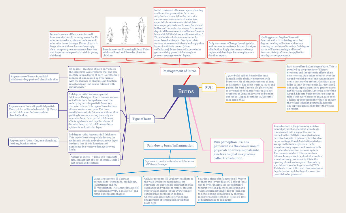 Burns - Concept map - surgery - Studocu