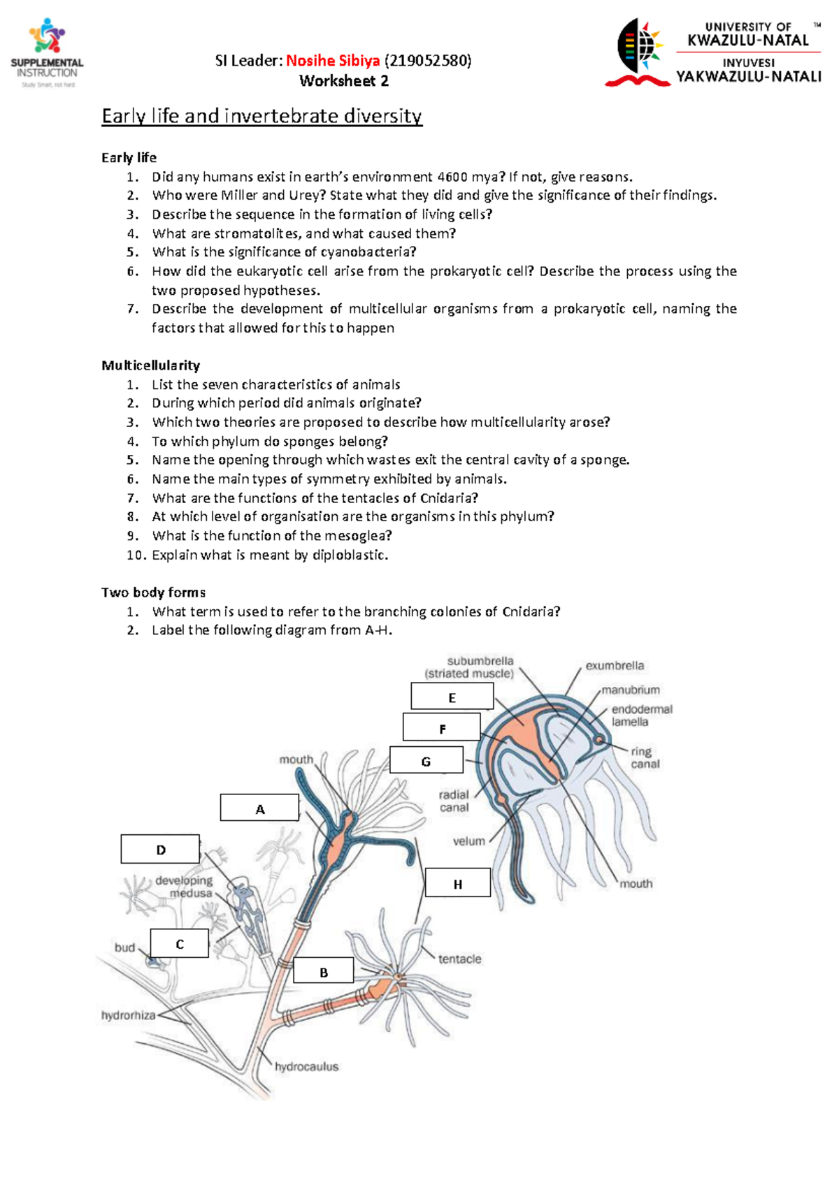 BIOL102 SI worksheet 2 - si session tute - SI Leader: Nosihe Sibiya ...