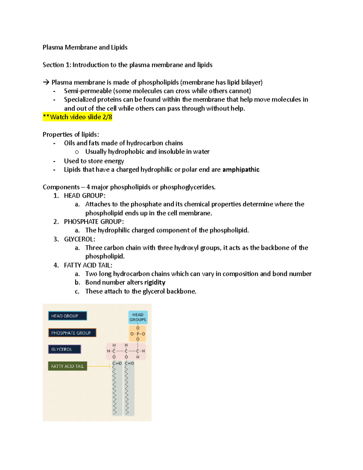 Module 6-PHGY170 - Plasma Membrane and Lipids Section 1: Introduction ...
