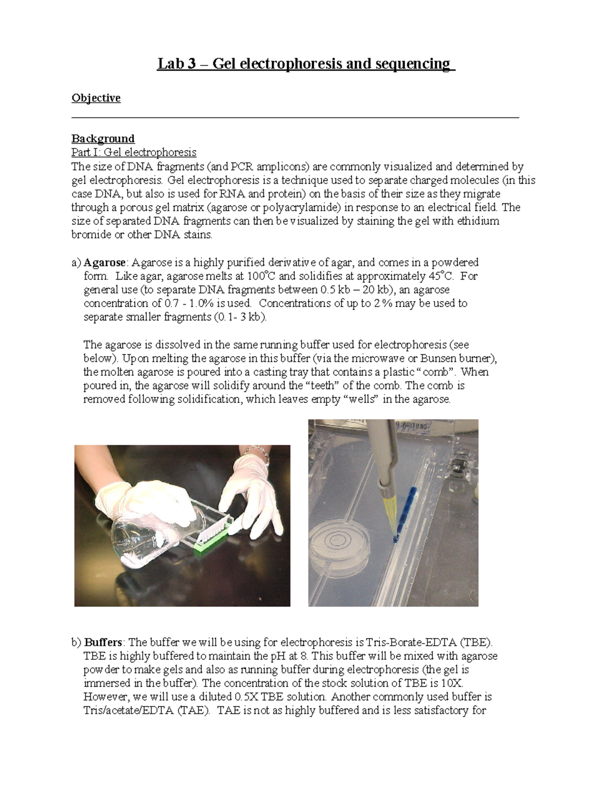 Lab 3 - Gel electrophoresis and sequencing 2023 - Lab 3 – Gel ...
