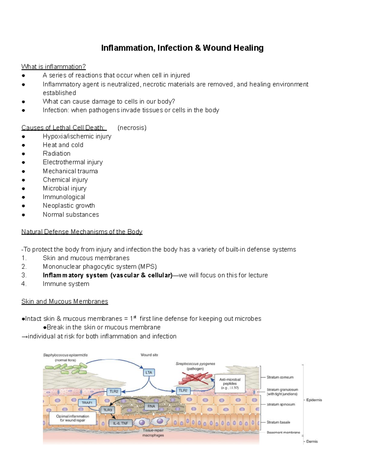 Inflammation, Infection & Wound Healing - Inflammation, Infection ...