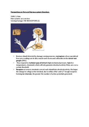 L3 Chemical Anatomy of Pain - Human nociceptors are also subdivided in ...
