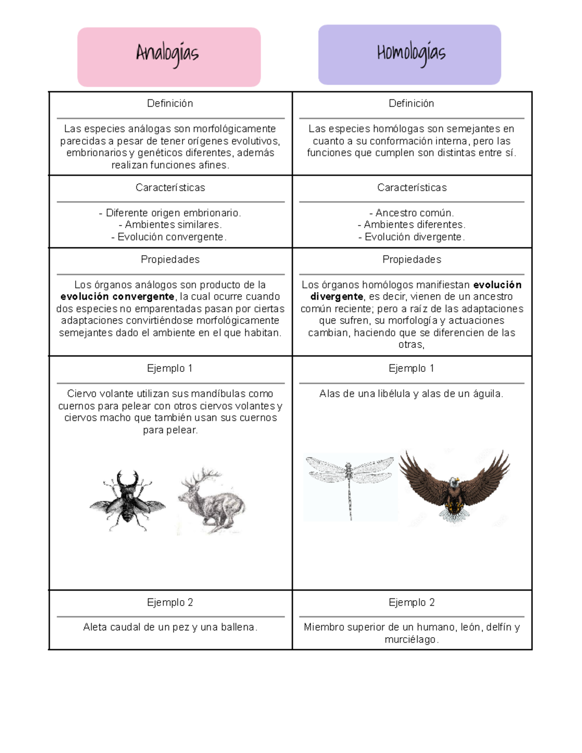Analogías y Homologías - Definición Las especies análogas son ...