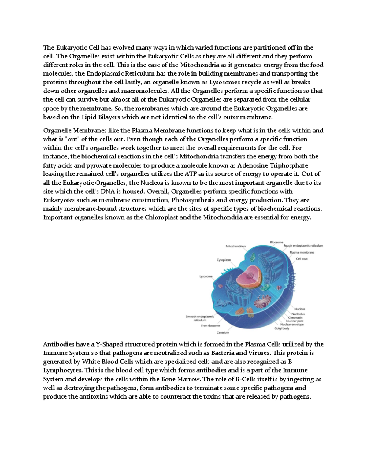 Variation of Cell function - The Eukaryotic Cell has evolved many ways ...
