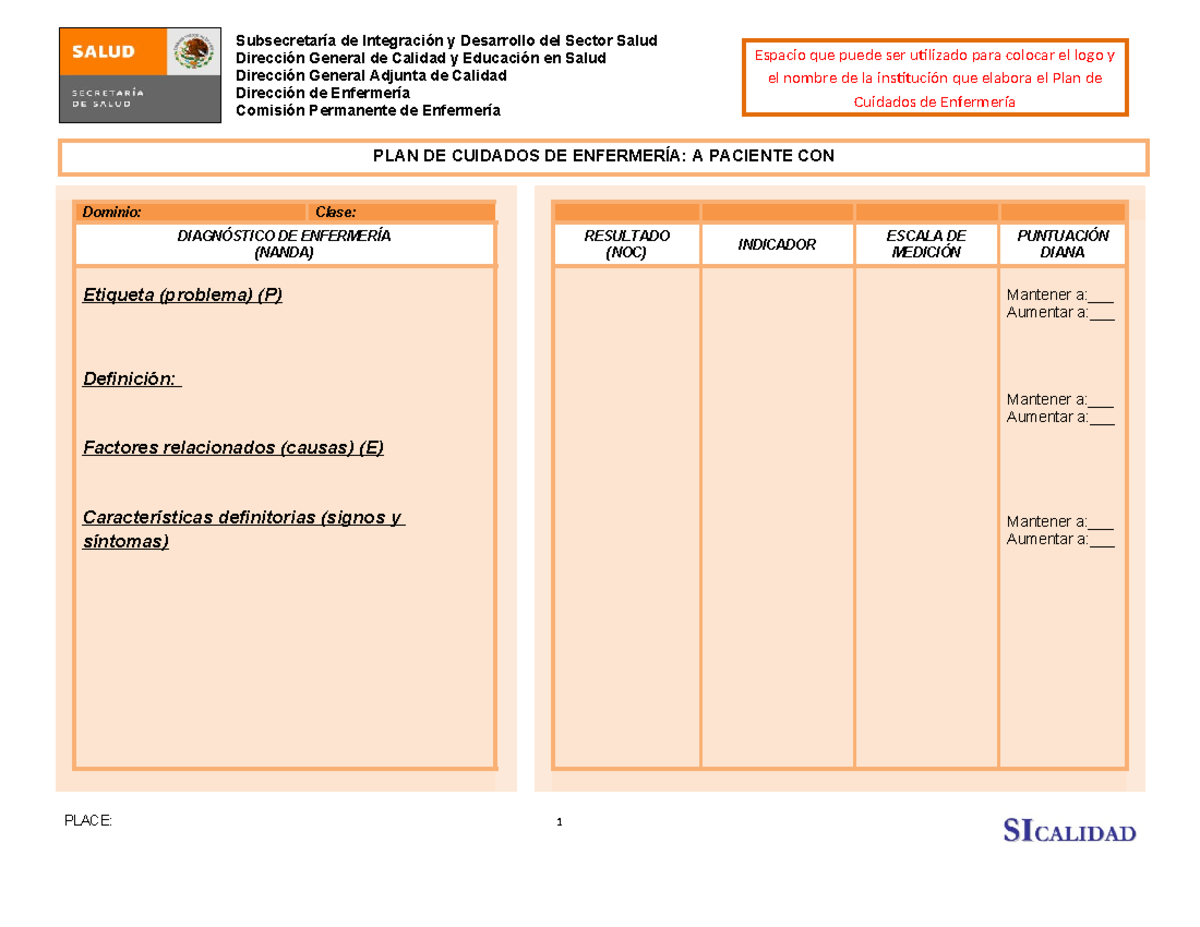 Formato-place - plan de cuidados de enfermería estandarizado (PLACE ...