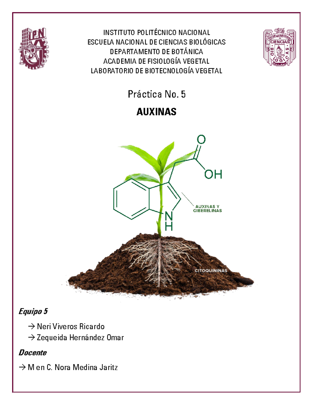 Auxinas - INSTITUTO POLITÉCNICO NACIONAL ESCUELA NACIONAL DE CIENCIAS ...