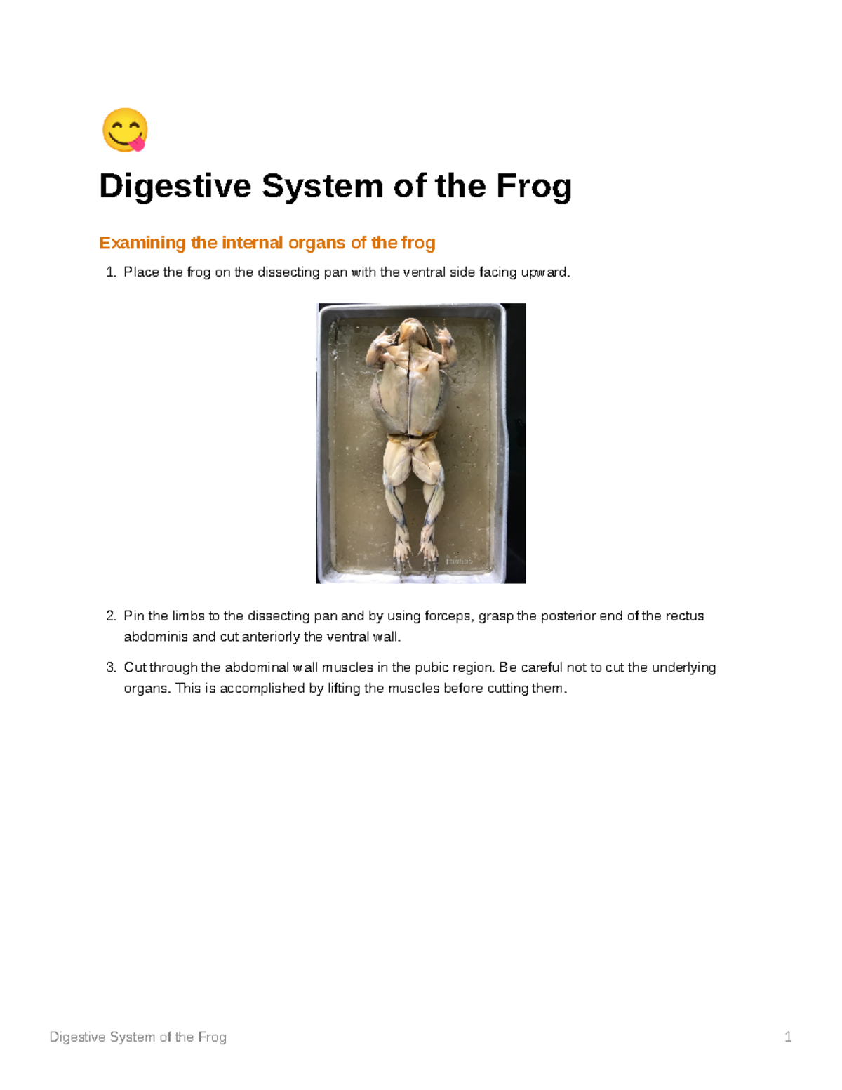 [Module] Digestive System of the Frog - Digestive System of the Frog ...