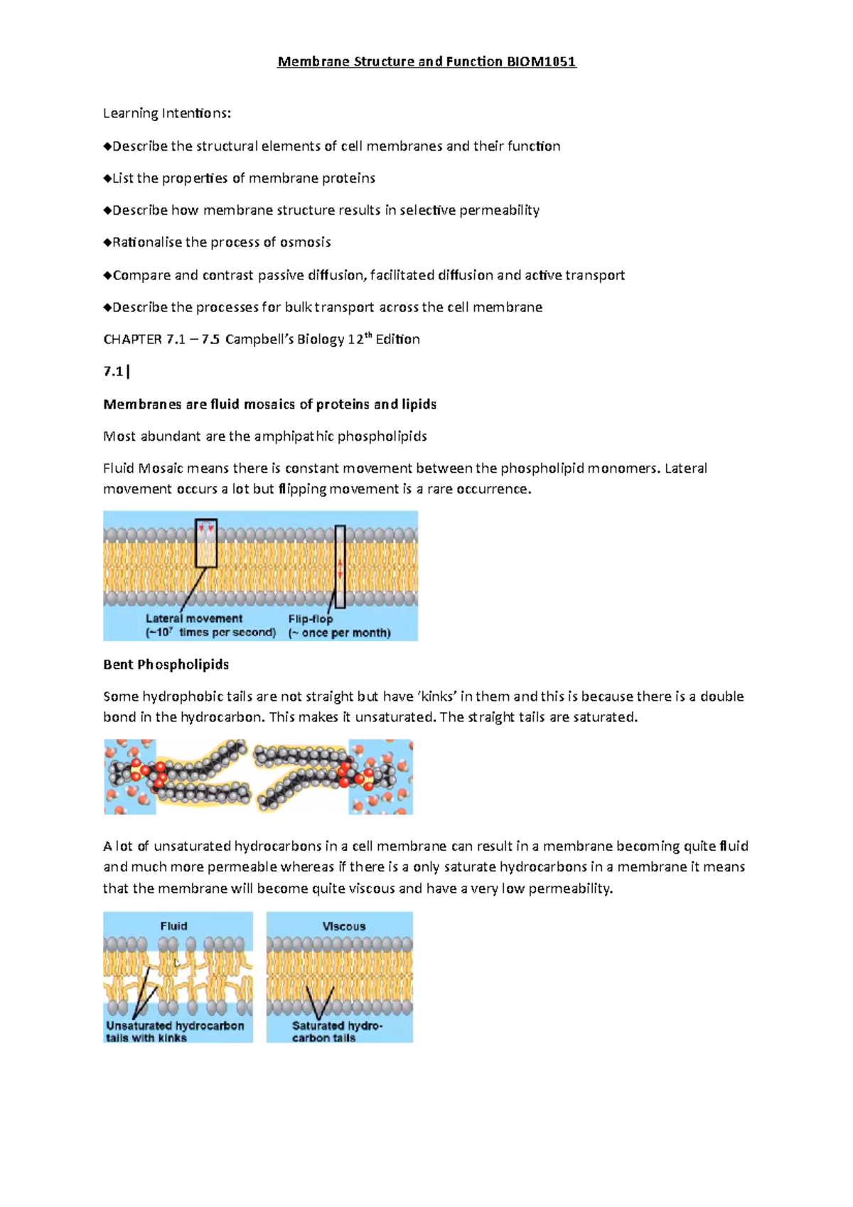 Membrane Structure and Function BIOM1051 - Membrane Structure and ...