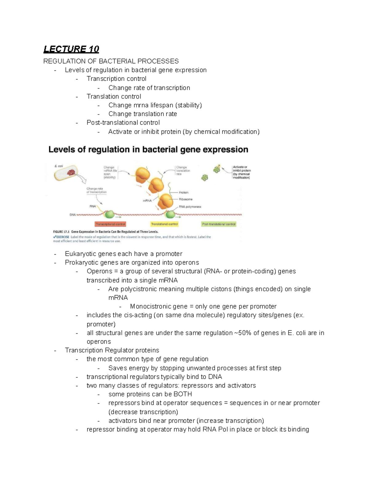 M122 Lecture 10 Notes - LECTURE 10 REGULATION OF BACTERIAL PROCESSES ...