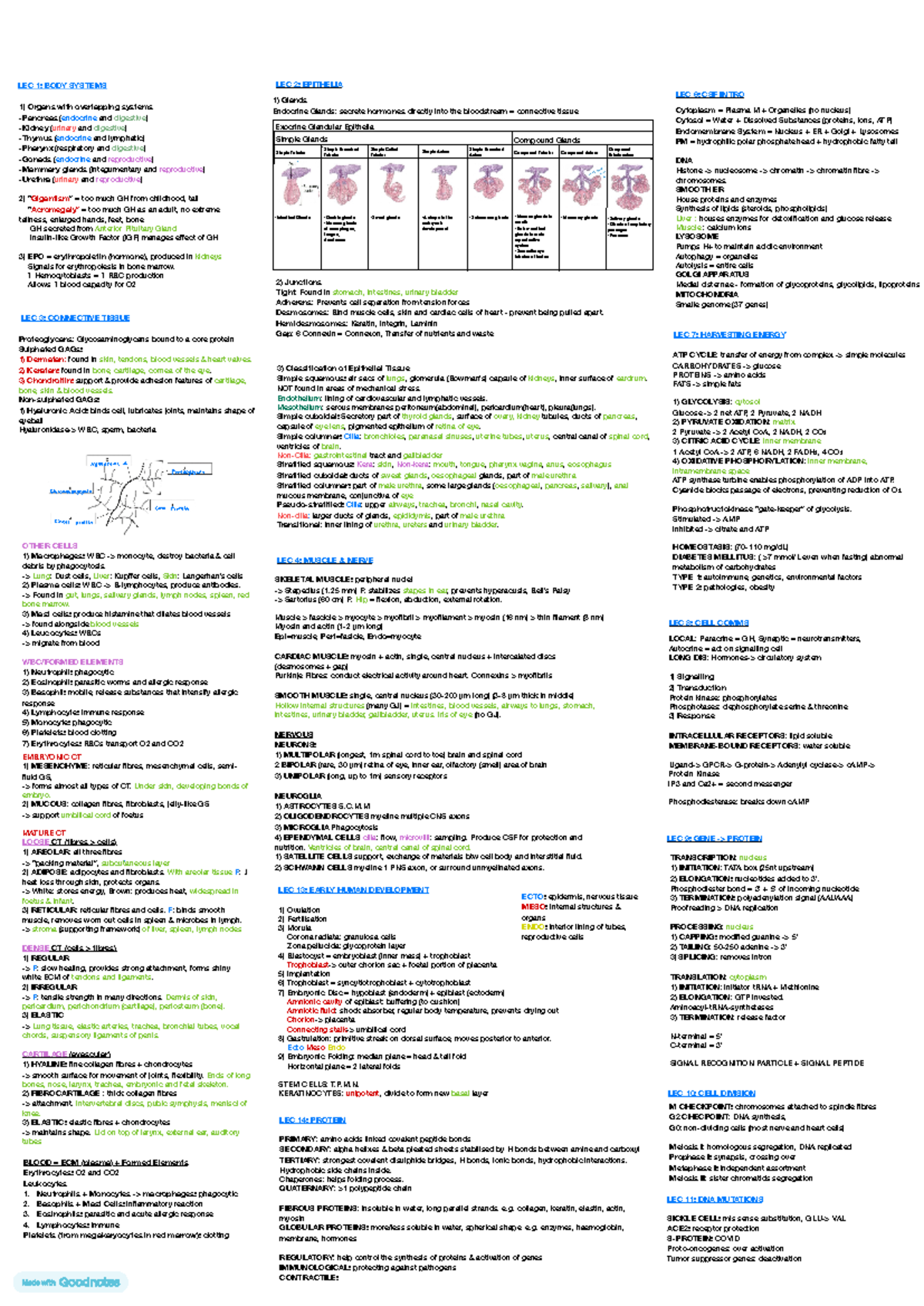 Biosci Cheatsheet - LEC 1: BODY SYSTEMS Organs with overlapping systems ...