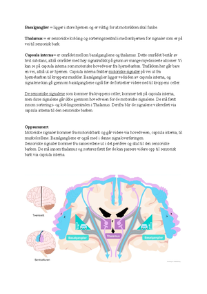 Sirkulasjonssystemet - SIRKULASJONSSYSTEMET INTRODUKSJON Sirkulasjonssystemets oppgaver - Studocu