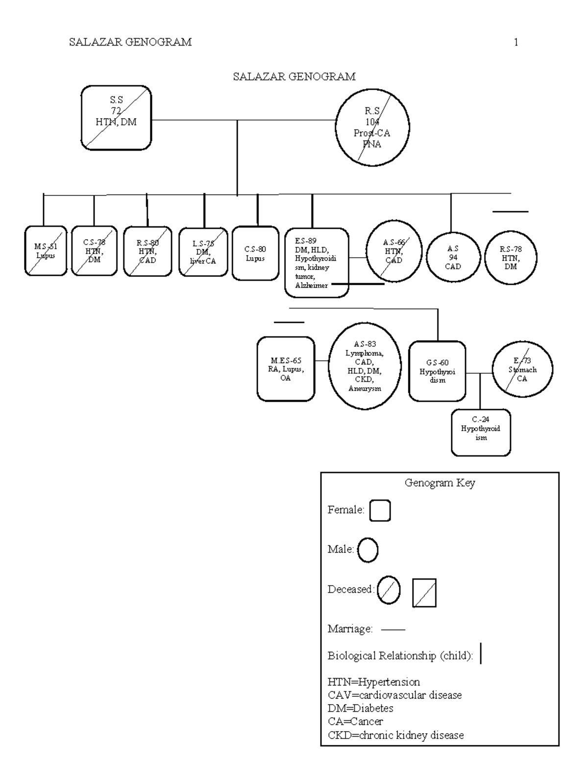 Romeus C NU549 Family Genogram & Ecomap - SALAZAR GENOGRAM 1 SALAZAR ...