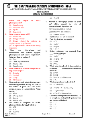 Zoology baby bullet inter junior - Intermediate bipc - Studocu