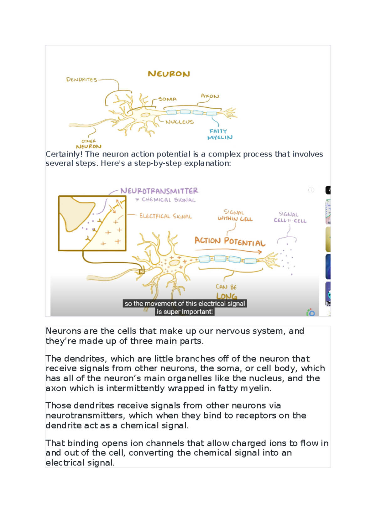 Action potential - Here's a step-by-step explanation: Neurons are the cells that make up our ...