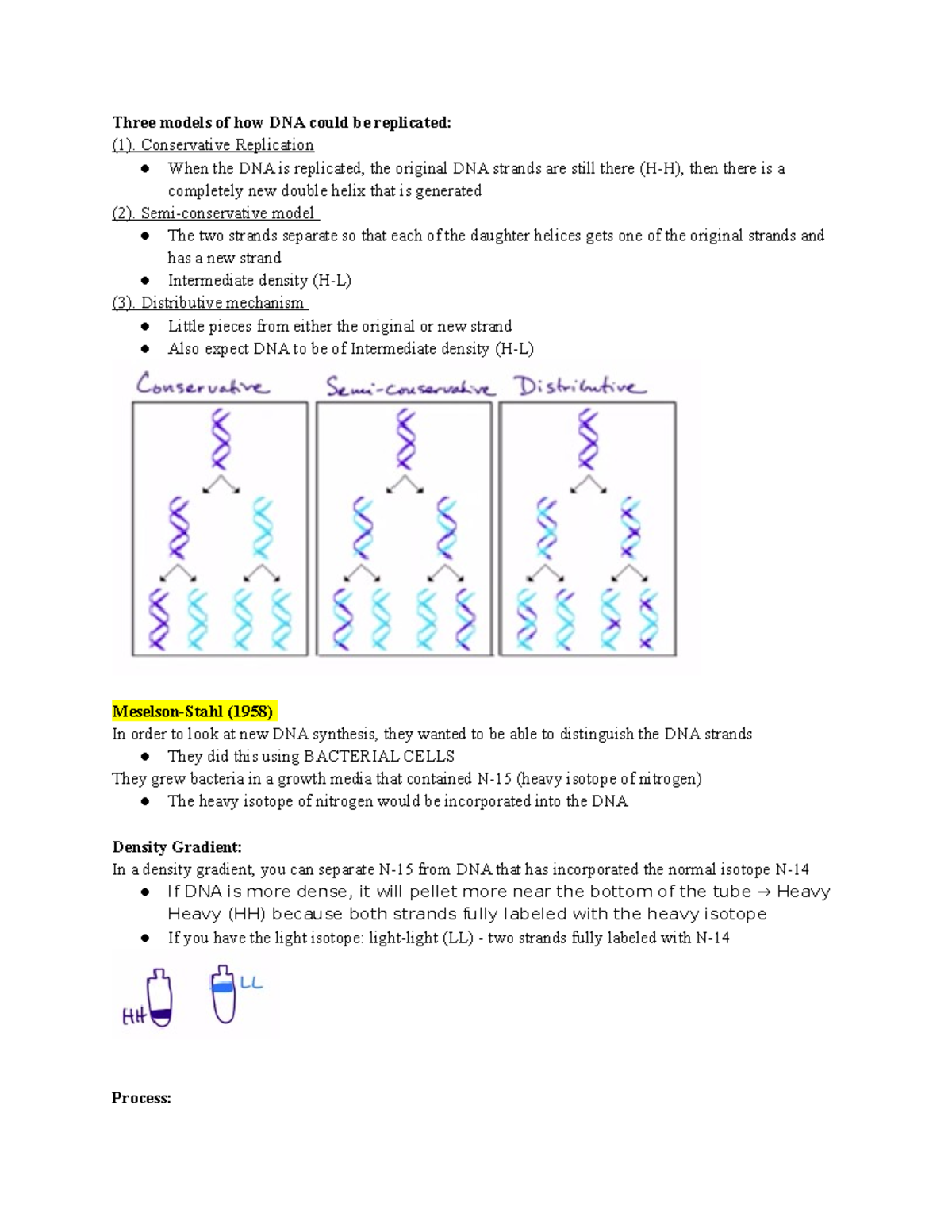 Lecture 24 Basics of DNA Replication - Three models of how DNA could be ...
