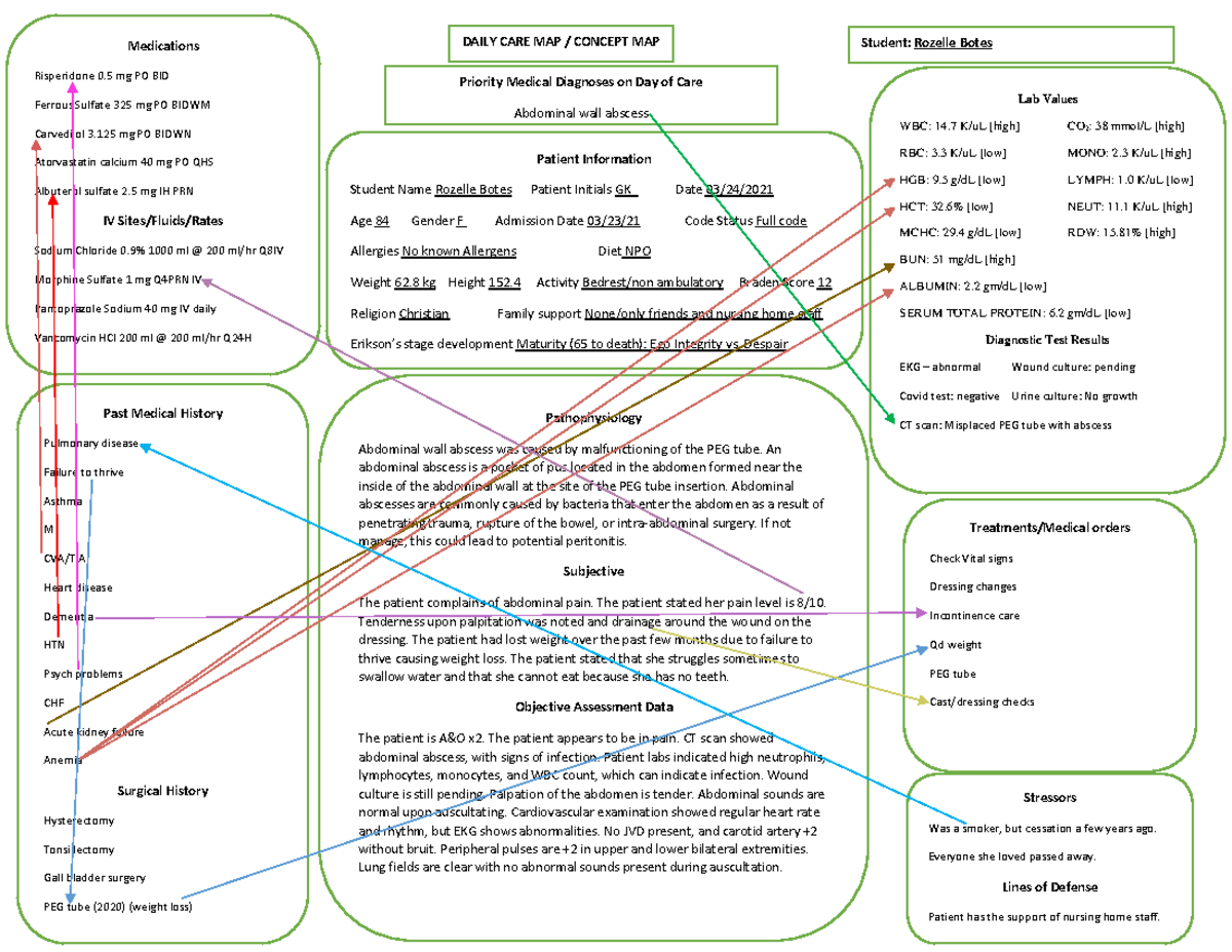 Care map 1 - Care plan - DAILY CARE MAP / CONCEPT MAP Student: Rozelle ...