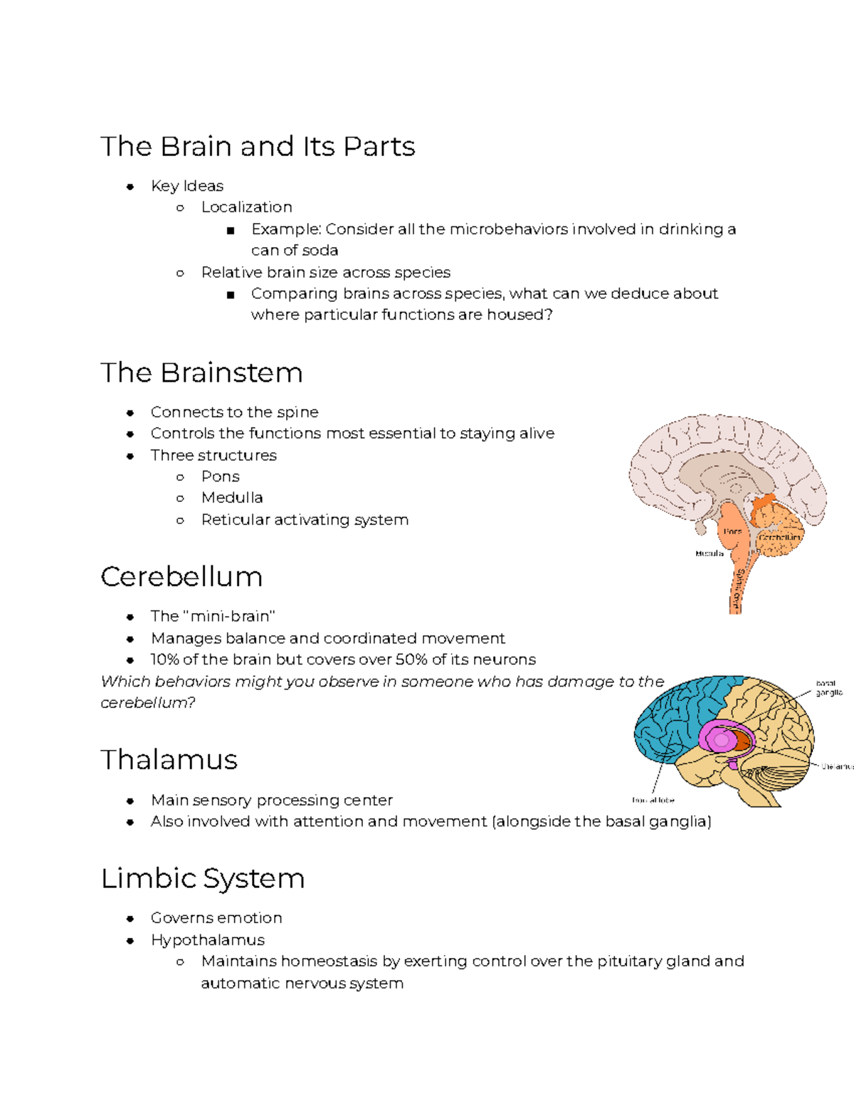 The Brain :Intro To Psychology - The Brain and Its Parts Key Ideas ...