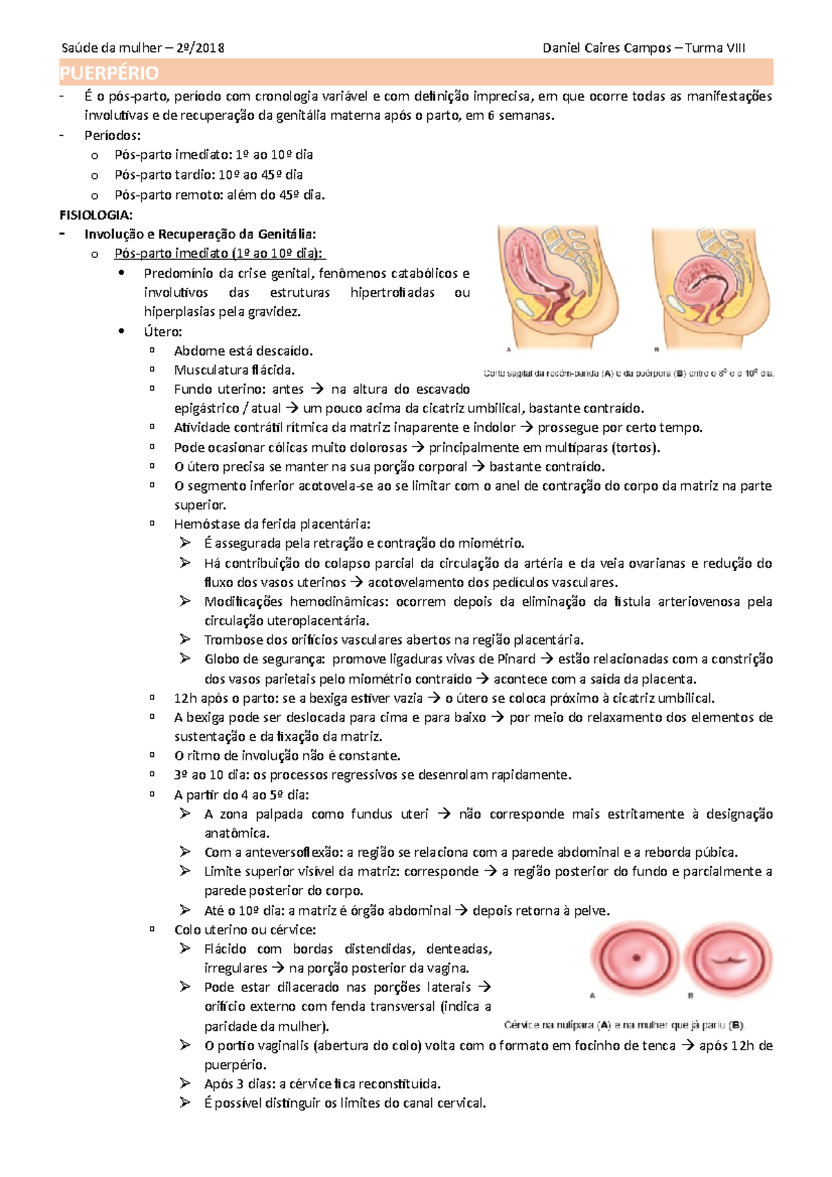 Problema 8 - puerpério, lactação e infecção puerperal - PUERPÉRIO É o ...