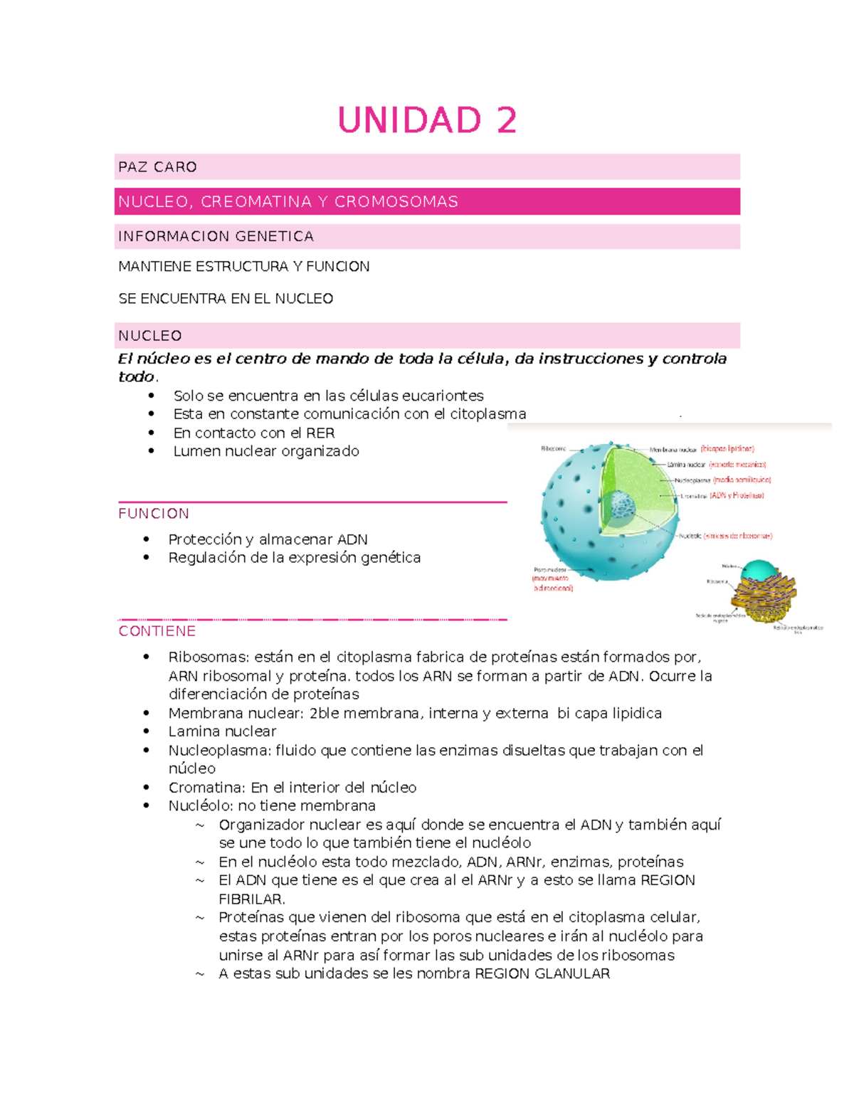 Unidad 2 Biocel - un poco de quimica - UNIDAD 2 PAZ CARO NUCLEO ...