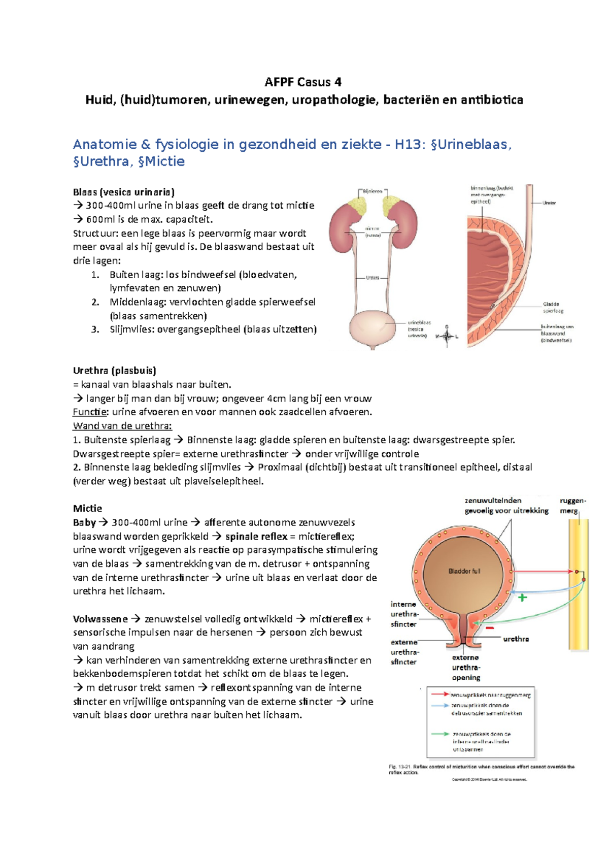 AFPF Casus 4 samenvatting - AFPF Casus 4 Huid, (huid)tumoren, urinewegen, uropathologie ...