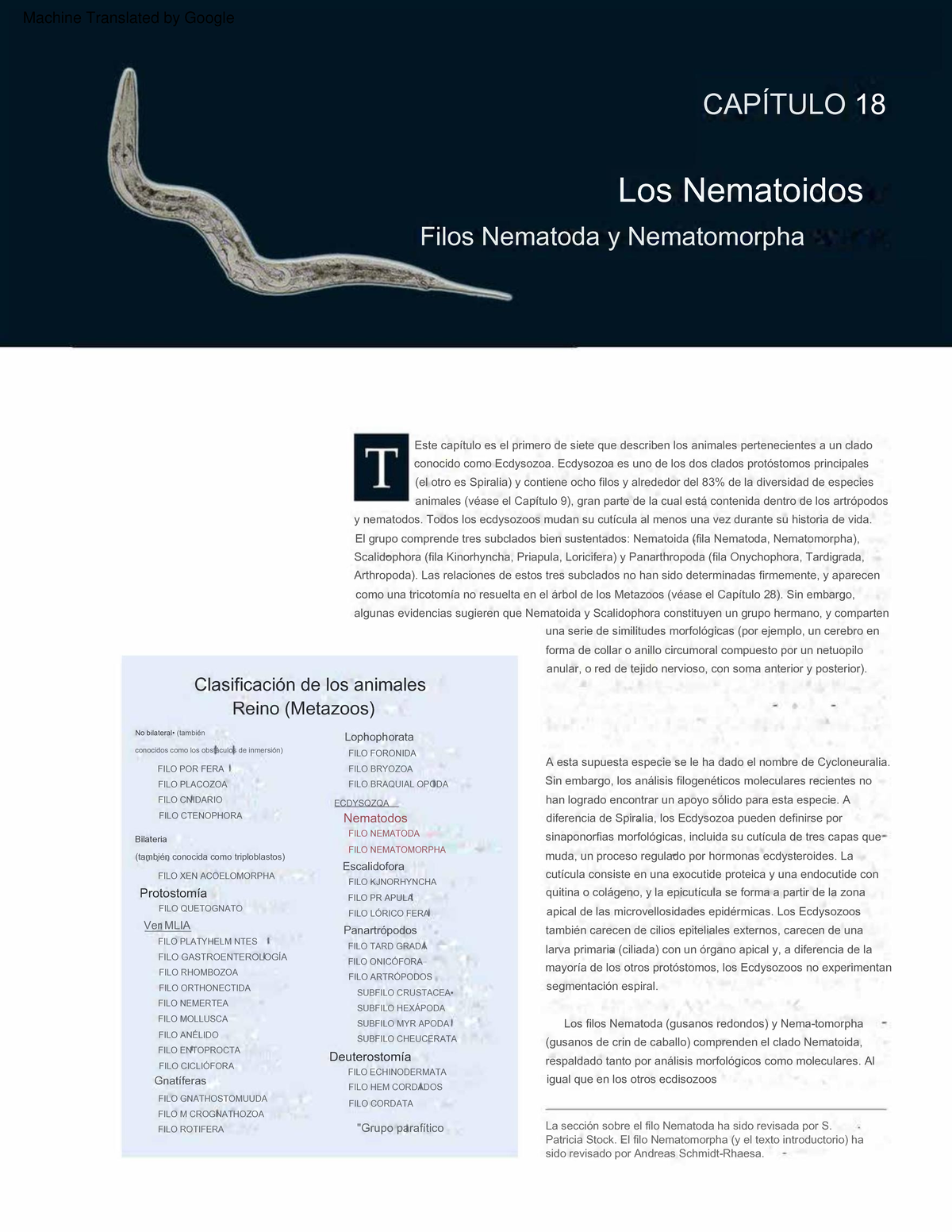 The Nematoida Phyla Nematoda and Nematomorpha - Reino (Metazoos ...