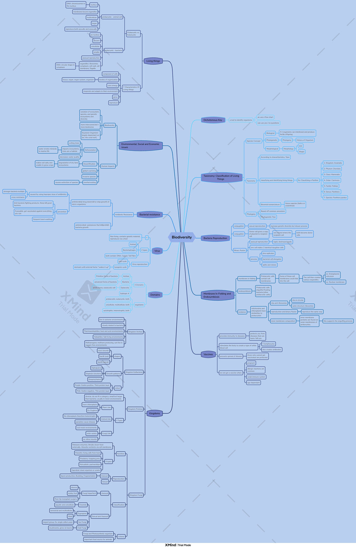 Diversity mind map - bio mind map - Biodiversity Dichotomous Key a tool ...