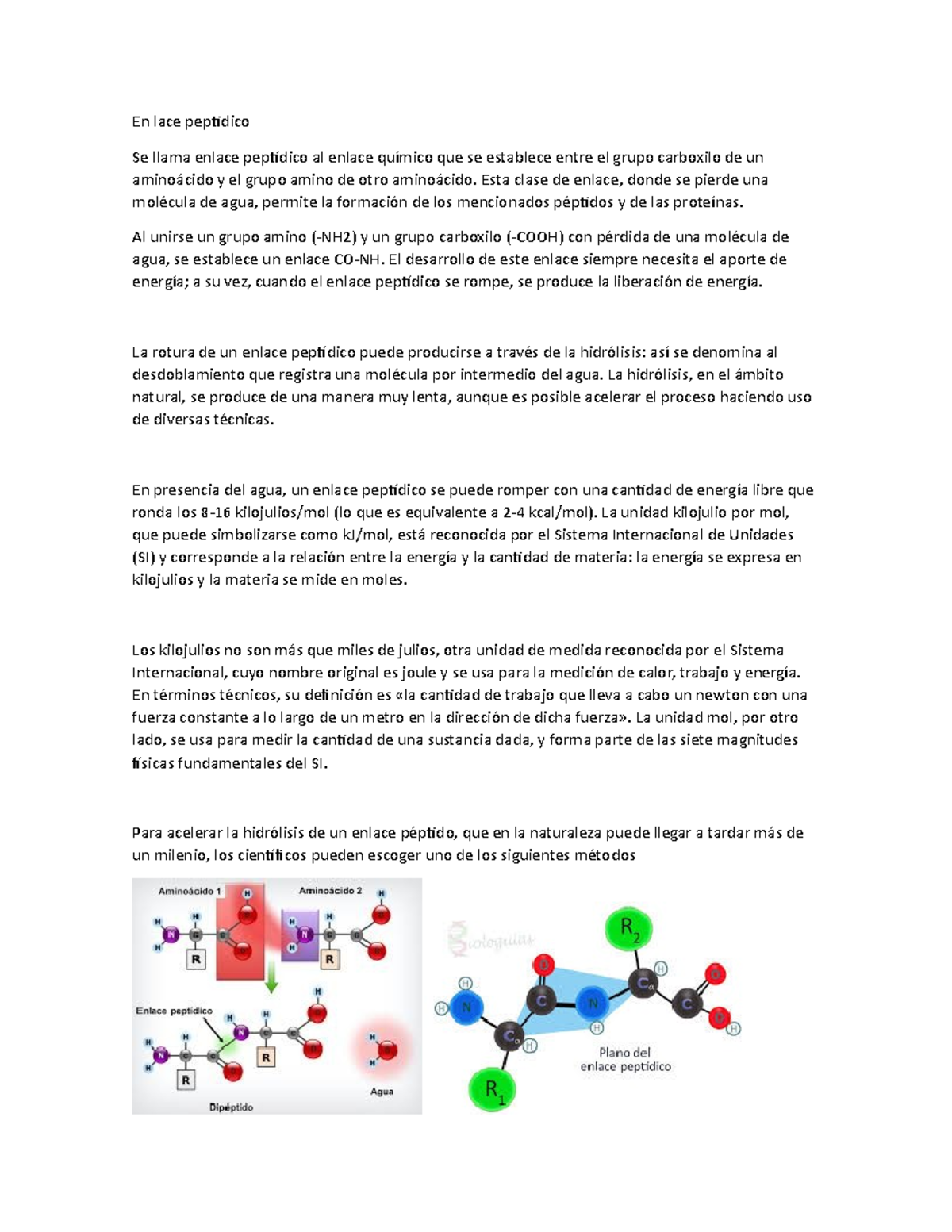 Enlace fosforiester - En lace peptidico Se llama enlace peptídico al ...