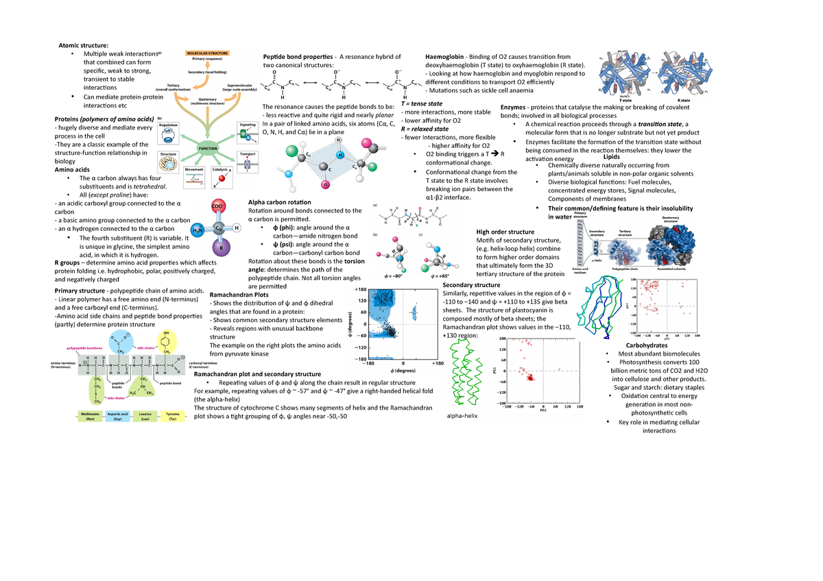 Bio chem L1 - Lecture notes 1 - Atomic structure: • Multiple weak ...