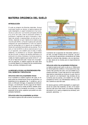 Test de HTP - protocolo - 6 Psic. Araceli Díaz Soraiz (original) Test ...