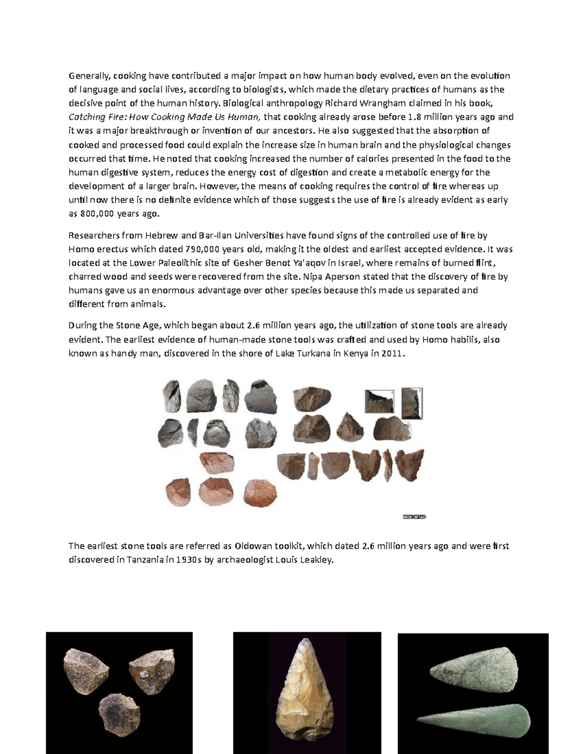 Bio-cultural Evolution in Pre-historic era - Generally, cooking have ...