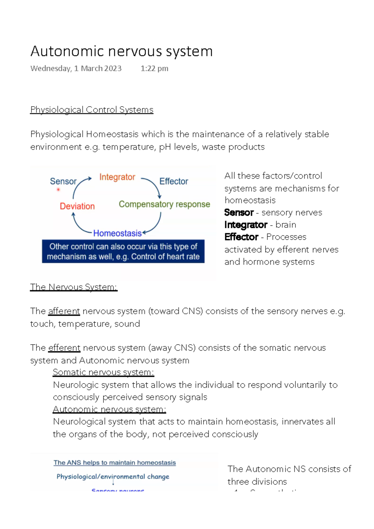 Autonomic nervous system - Physiological Control Systems Physiological ...