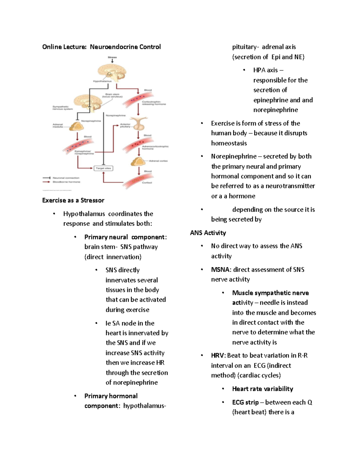 Neuroendocrine System - Online Lecture: Neuroendocrine Control Exercise ...