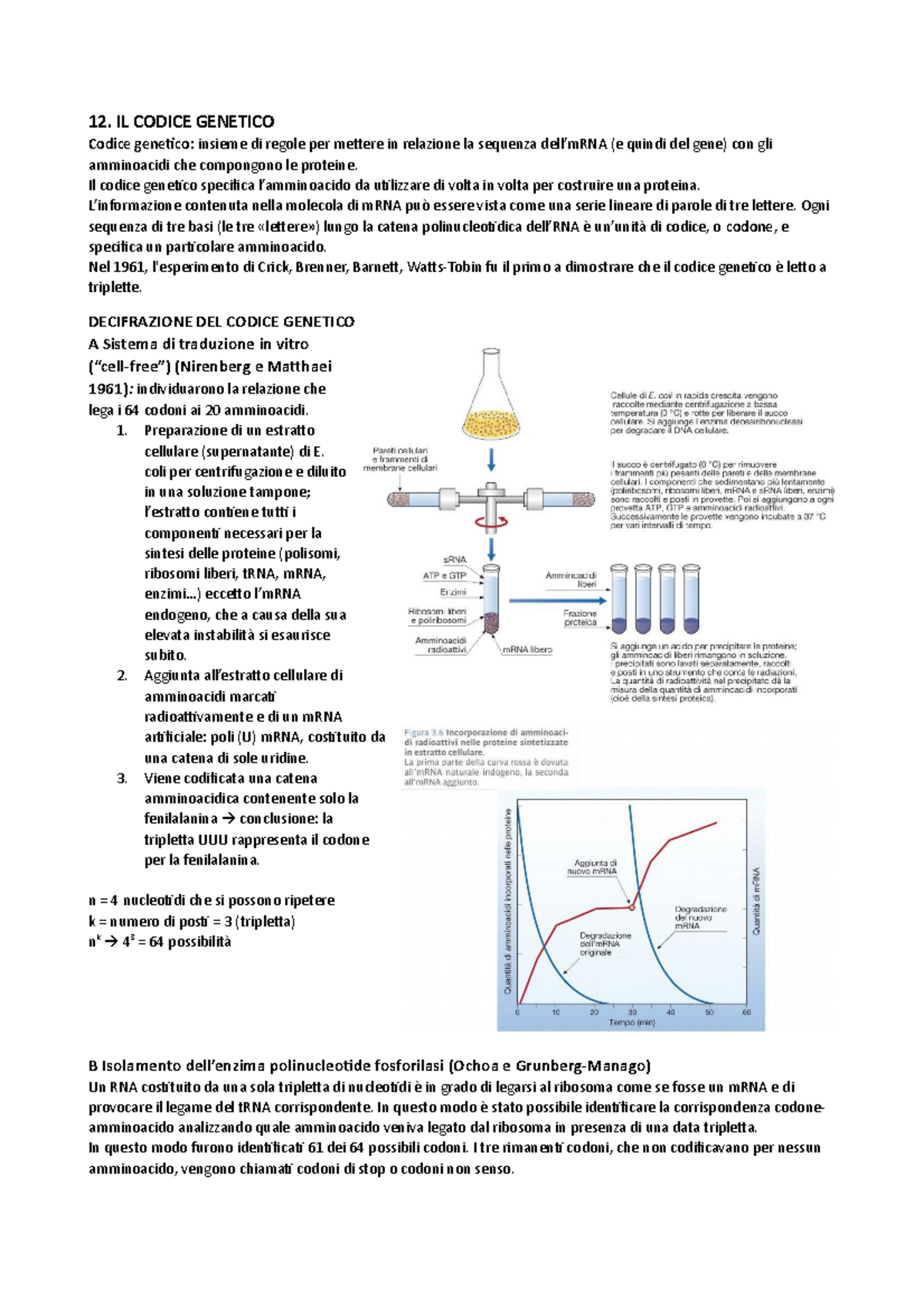 Codice genetico - 12. IL CODICE GENETICO Codice genetico: insieme di ...