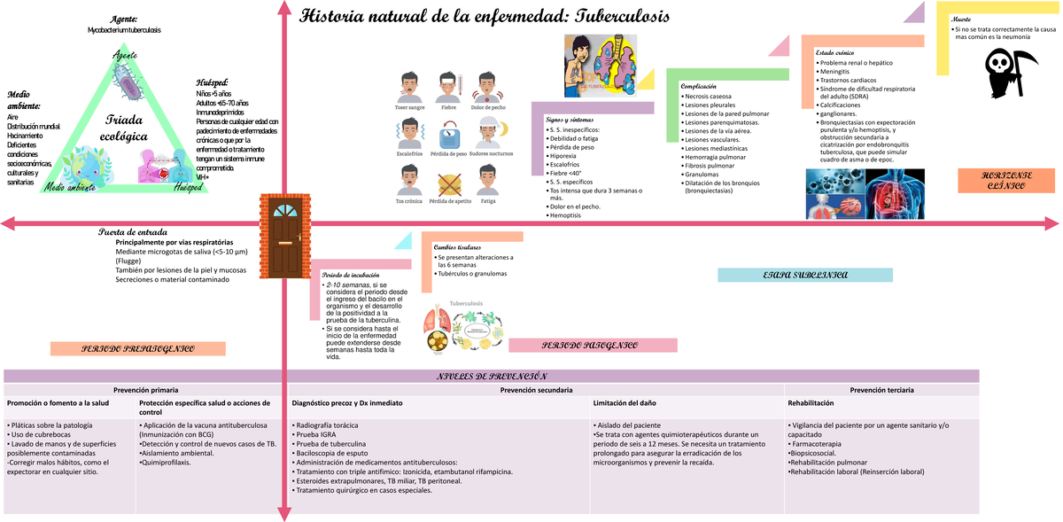 HNE Tuberculosis - Agente: Historia natural de la enfermedad ...