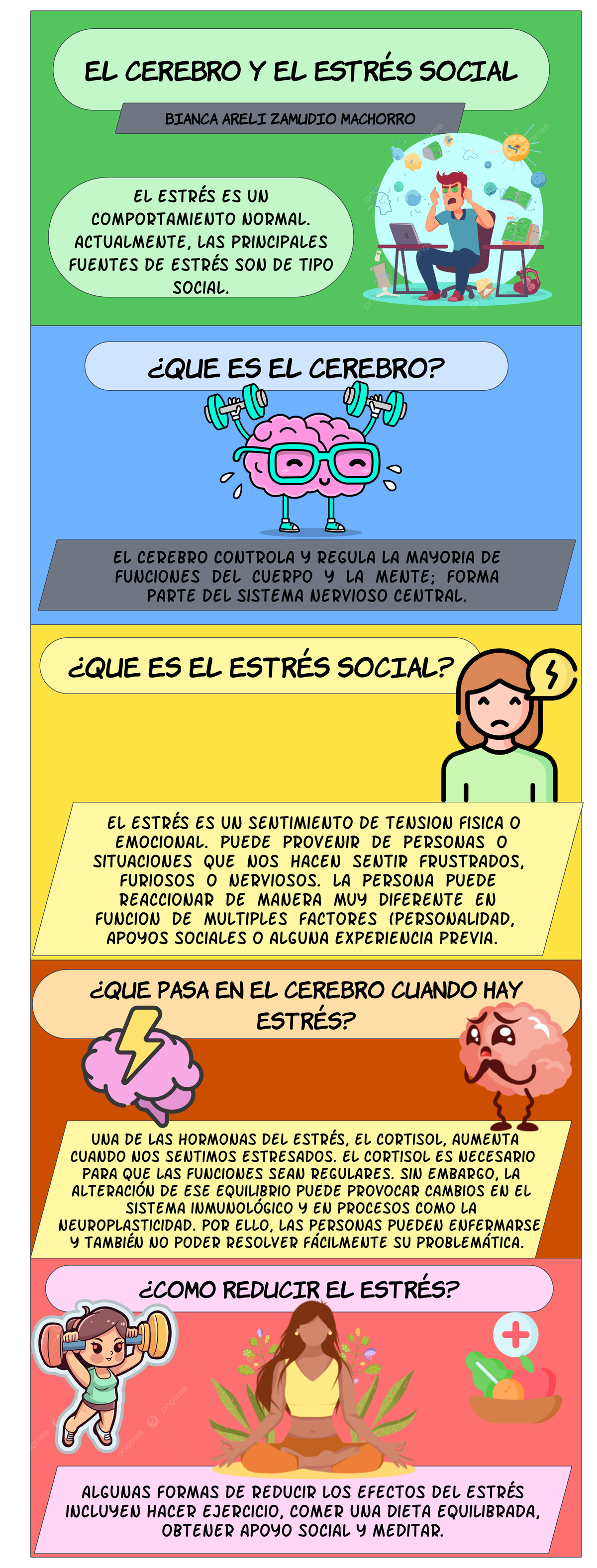 El cerebro y el estres social - EL CEREBRO Y EL EST Ré S SOCI AL El est ...