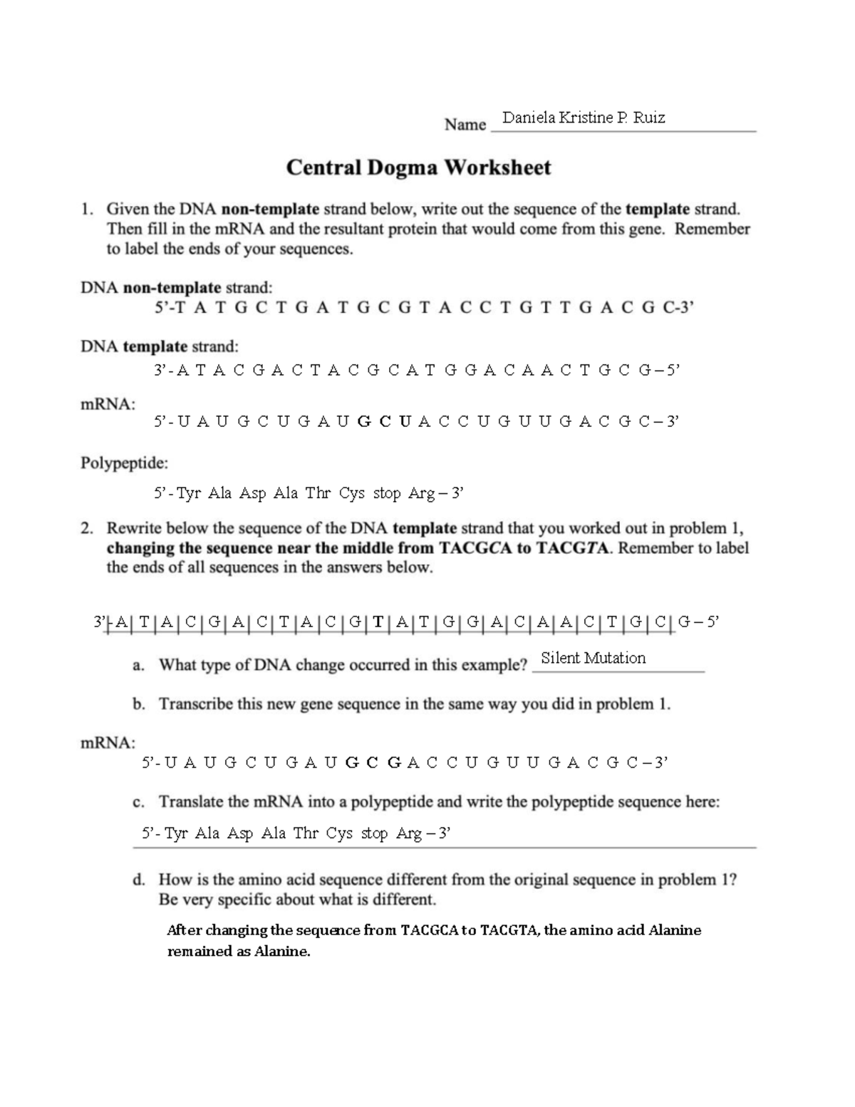 Central Dogma Activity - 3 ’- A T A C G A C T A C G C A T G G A C A A C ...