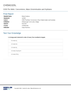 The Mole Lab Calculations Template - Exercise 1-Data Table 1: Moles ...