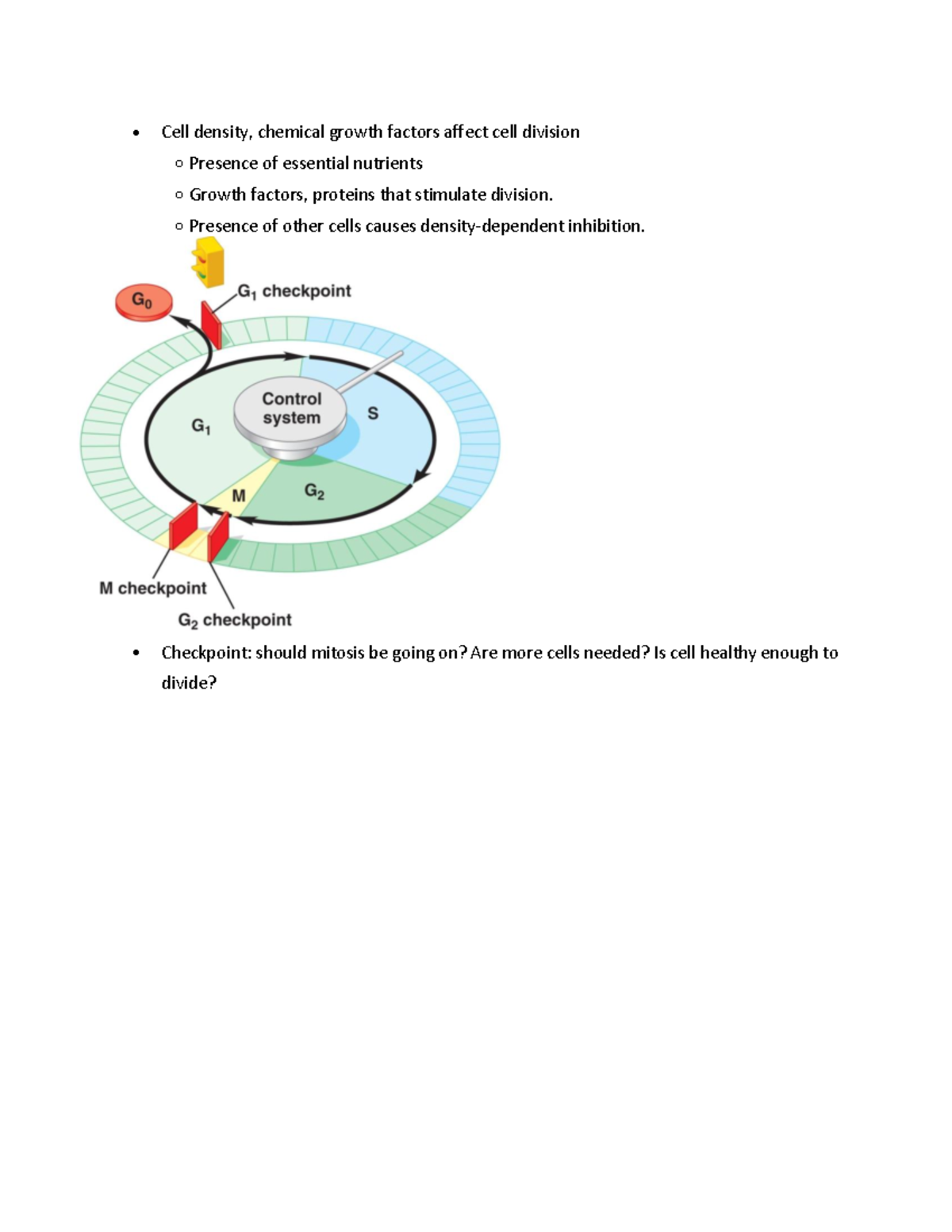 The Cell Cycle - Lecture notes 11 - • • Cell density, chemical growth ...