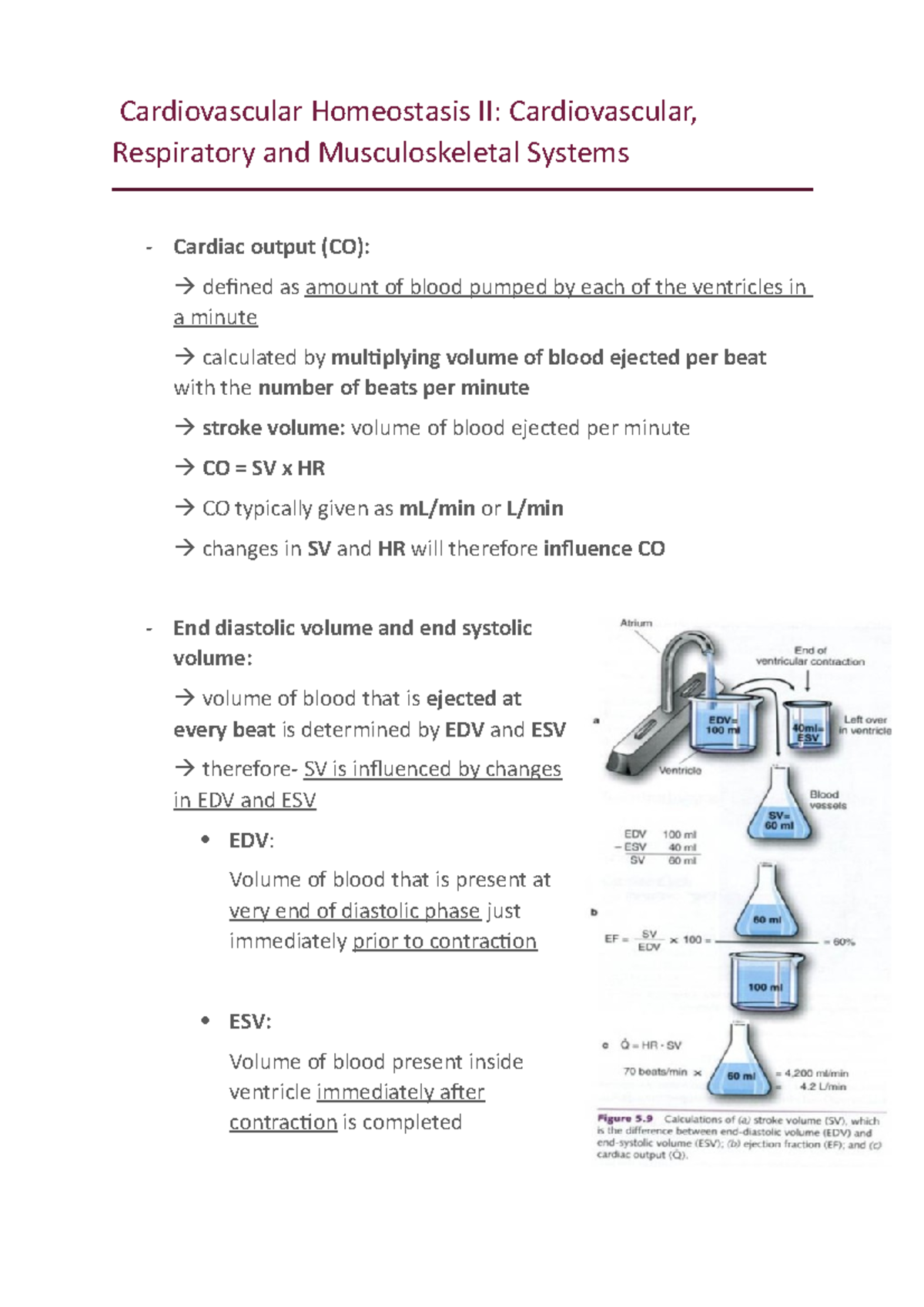 Cardiovascular Homeostasis II CRMS - Cardiovascular Homeostasis II ...