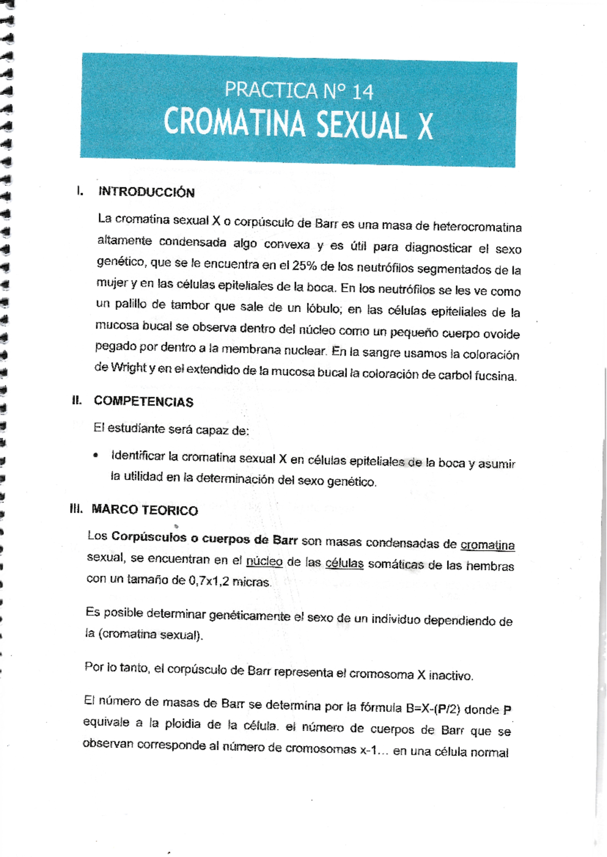 Practica 14 - Cromatina Sexual - Bioquímica - Studocu